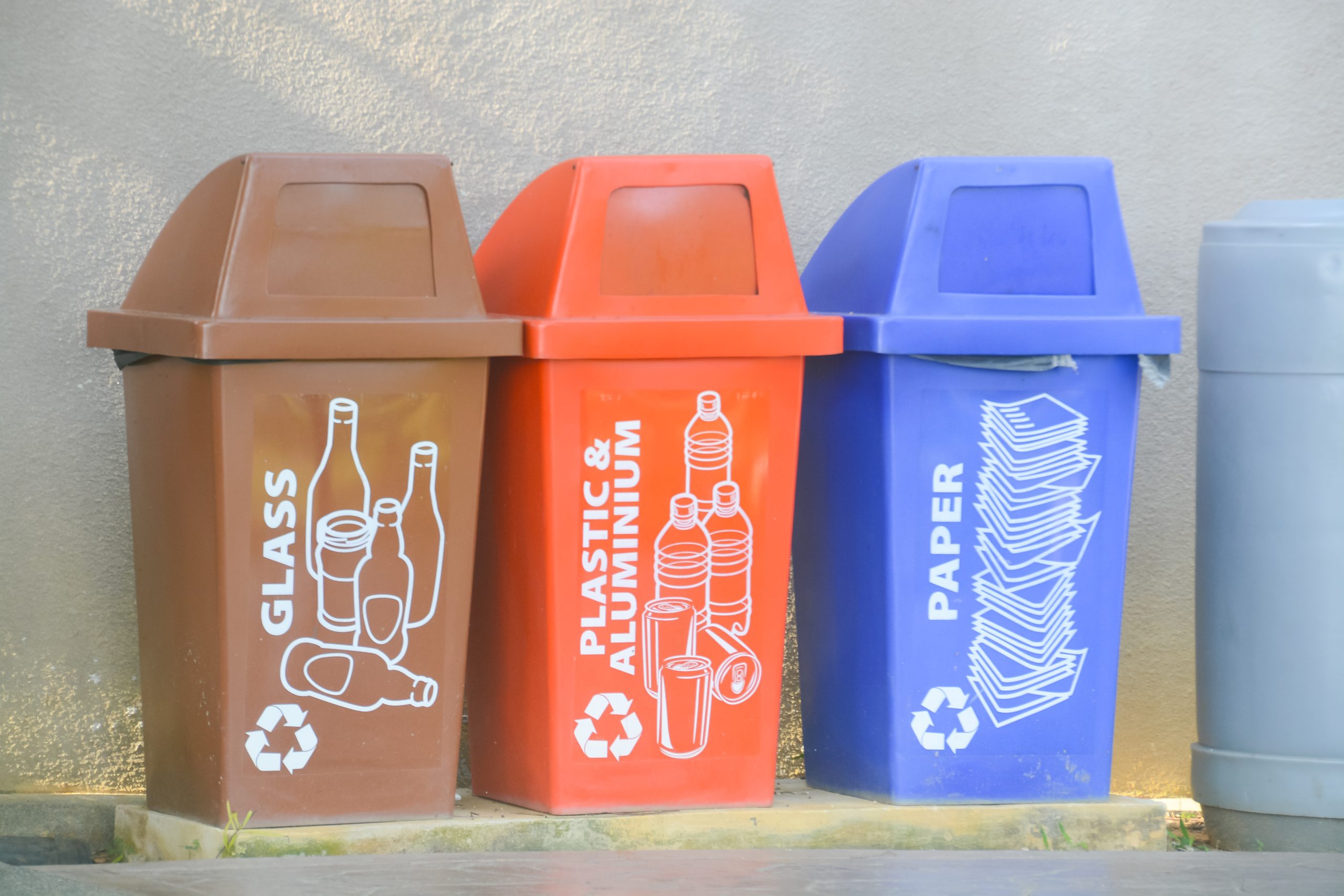 Choosing the Right Disposal Bin Size for Projects